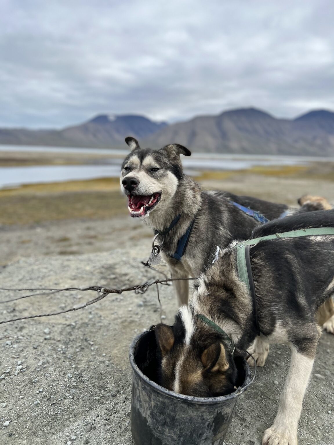 Svalbard - SoAvidTraveler